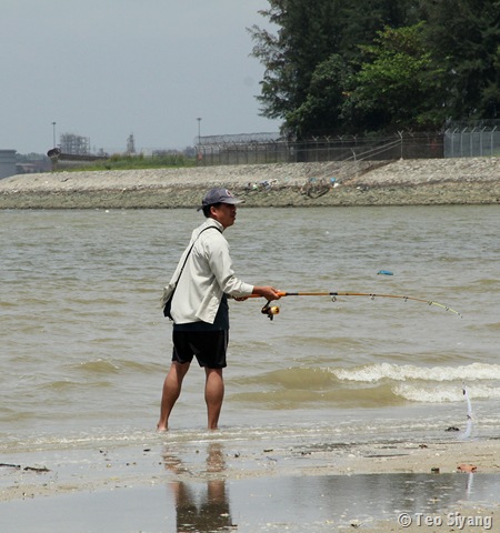 Urban Forest: Jenal Jetty Mangroves